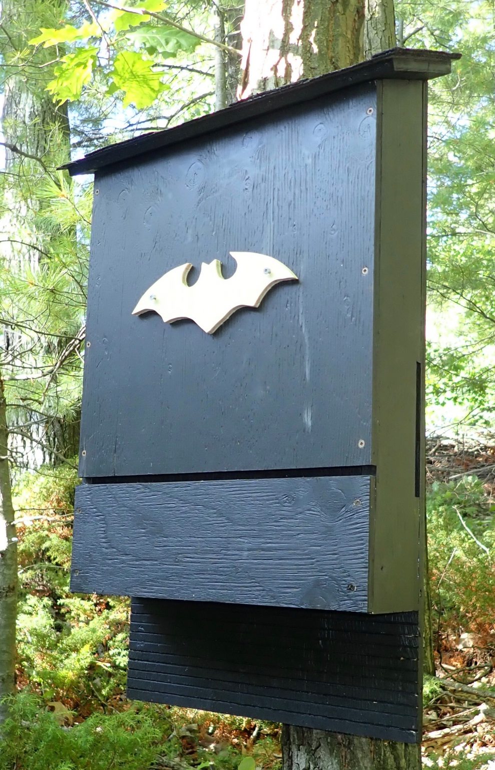 Building a Bat Box - South Channel Association